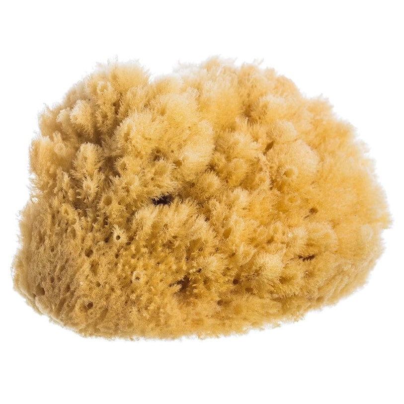 Sea Sponge - French Soaps | French Bathroom Essentials