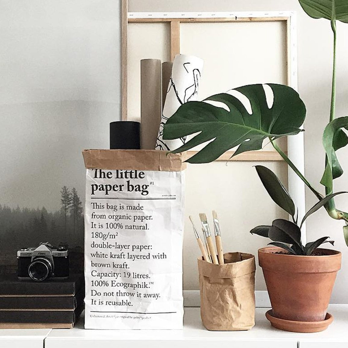 The Paper Bags (Last Chance)